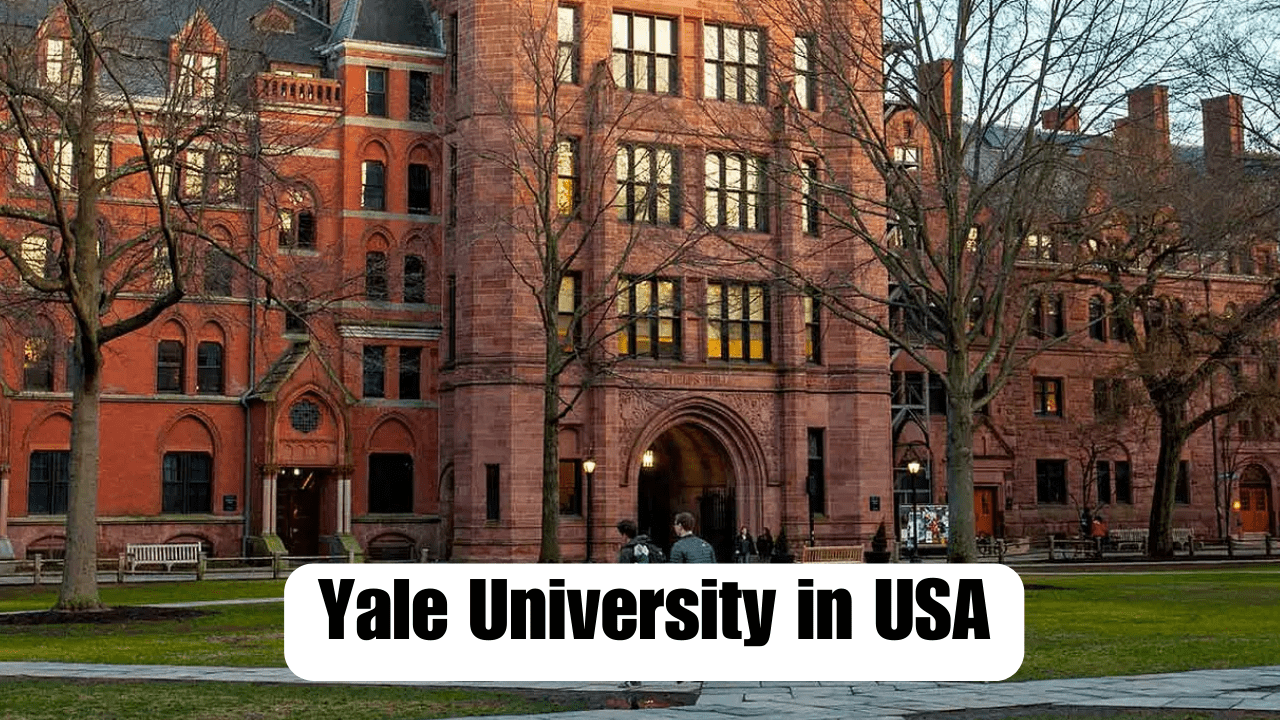 Unveiling Excellence: A Comprehensive Guide to Yale University in the ...